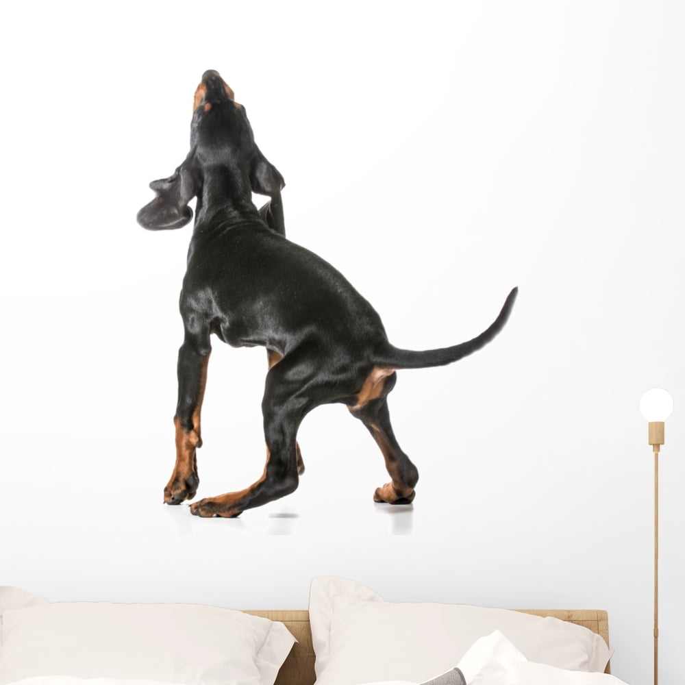 Black and Tan Coonhound Wall Mural by Wallmonkeys Peel and Stick ...