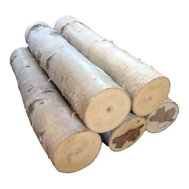 4 Pack CSL Creosote Sweeping Log For Fireplace & Chimney Safety ...