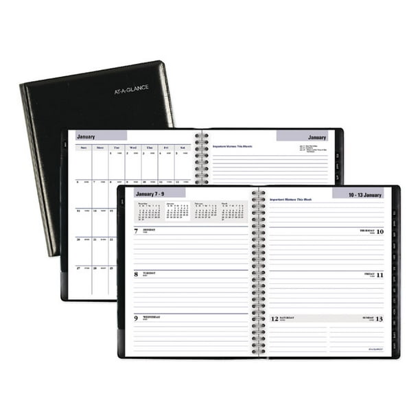 DAYMINDER EXECUTIVE WEEKLY/MONTHLY PLANNER, 8 3/4 X 6 7/8, BLACK, 2019 ...