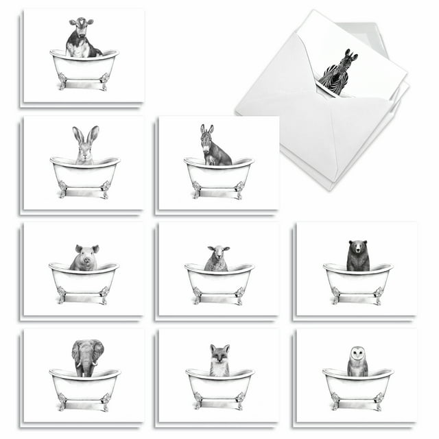 20 All Occasion Blank Note Cards Pack (10 Designs, 2 Each) - Clawfoot ...