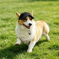 Dog Baseball Cap,Pet Summer Beach Hat,Dog Cat Sunbonnet Cap with Ear ...
