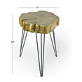 DecMode 19" x 26" Gold Polystone Tree Trunk Accent Table with Black ...