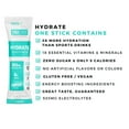TruLabs Hydrate Glacier, Hydration Electrolyte Powdered Drink Mix, 16 ...