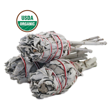 Ruda Rue Smudge Sticks Pack of 3 Bundles & Smudge Guide for Smudging ...