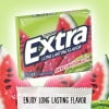 Extra Sugar Free Watermelon Chewing Gum, 10 Count Bulk Box, 150 Pieces ...