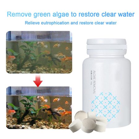 Fish Tank Cleaning Powder Algae Repellent Agent Tank Moss Remover ...