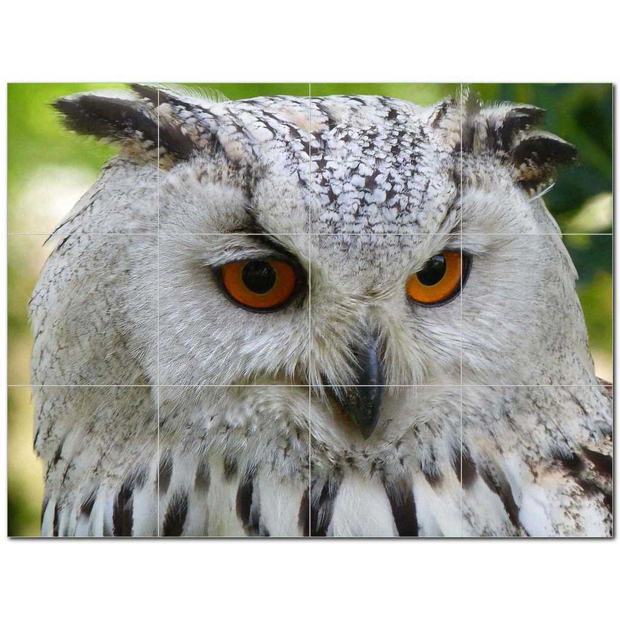 Bird Ceramic Tile Mural Kitchen Backsplash Bathroom Shower 402231-S43 ...