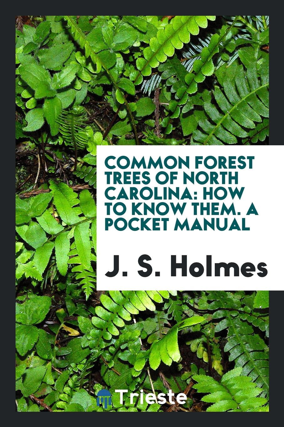 Nc Trees Identification