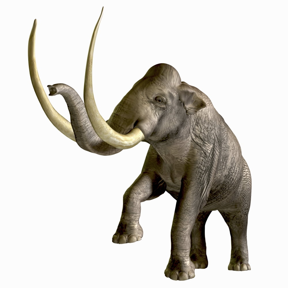 Buy The Columbian Mammoth is one of an extinct megafauna beasts from ...