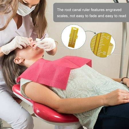 Root Canal Ruler Metal Tooth Span Scale canal ruler metal span ...