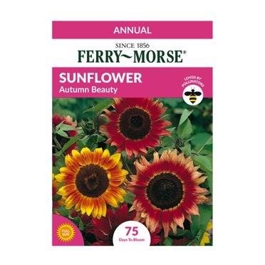 Ruby Passion Sunflower Flowering Seeds, 15 seeds per pack - Walmart.com