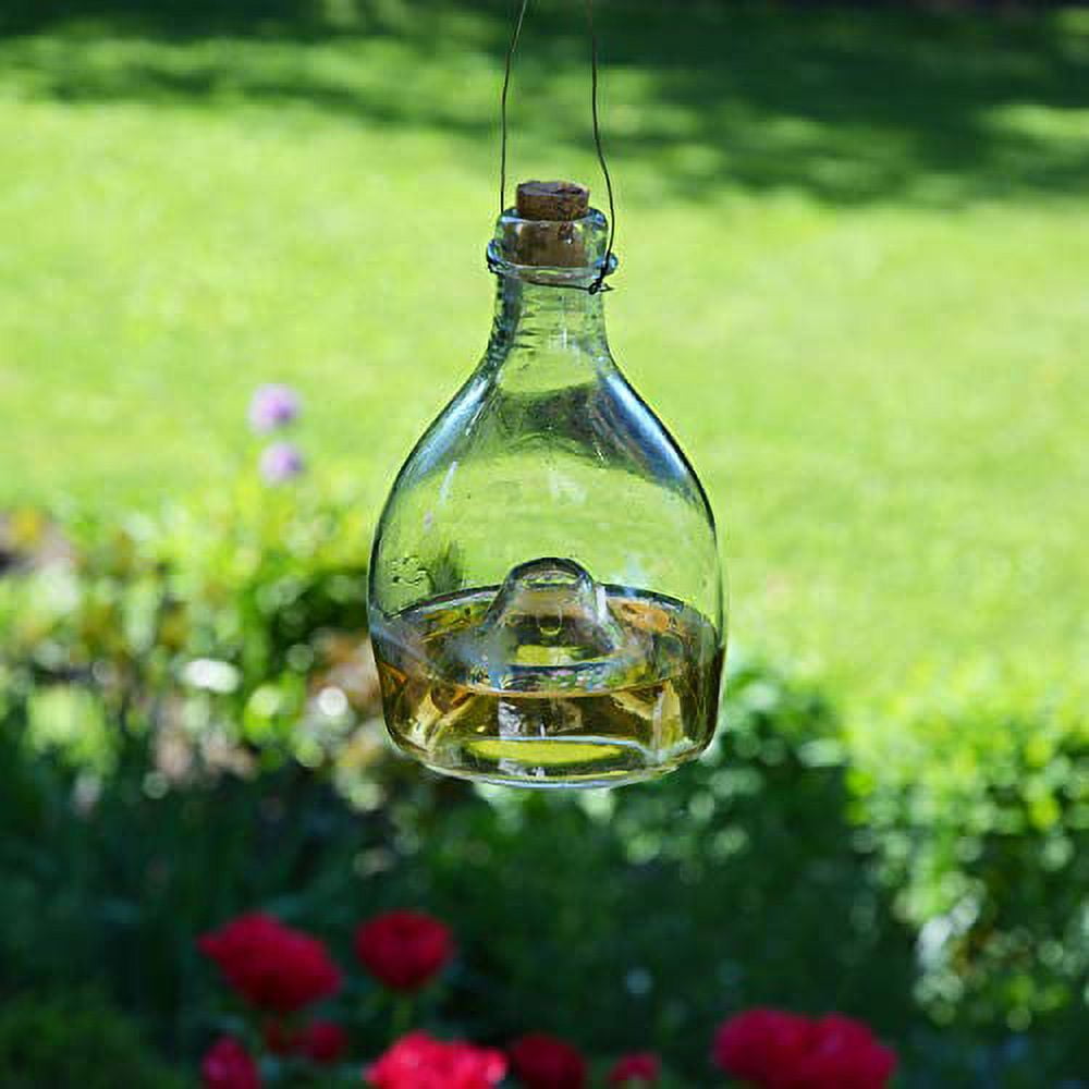 Glass Wasp Trap
