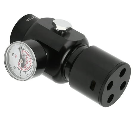 FLAMEEN Keg Beer Regulator,Mini Carbon Dioxide Regulator Stainless ...