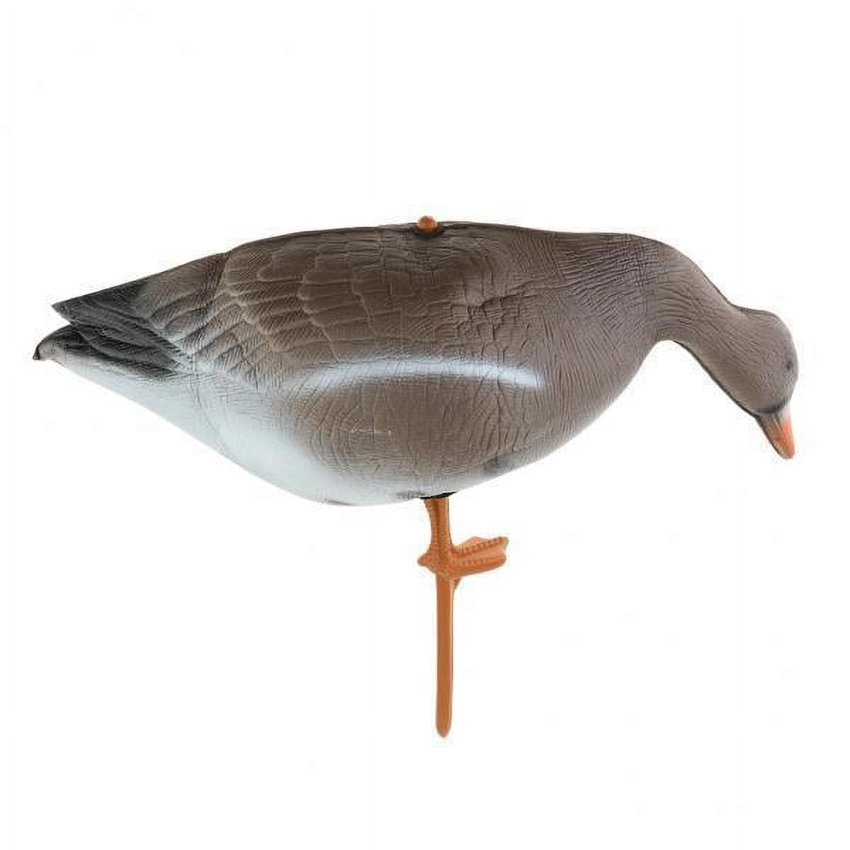 LOVIVER 5x 3D Lifelike Full Body Goose Decoy, Greenhand Hunting ...