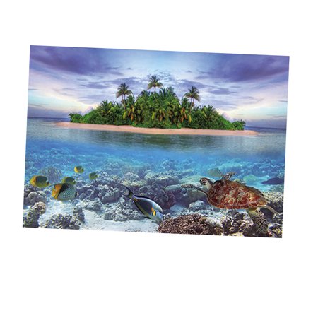 Aquarium Background Adhesive Poster Sticker for Aquarium Fish Tank ...
