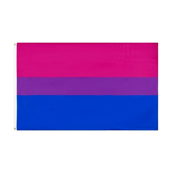 Mini Bi Pride Flag