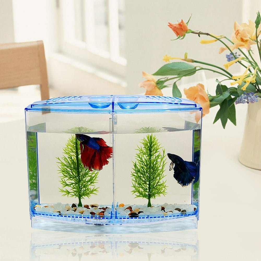 Tebru Mini Aquarium Fish Tank, Mini Fish Tank Aquarium Transparent ...