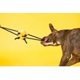 BARK Super Chewer Durable Tug & Chew Dog Toy with Tough Rope, Cheese ...