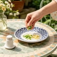 2026 Ceramic Ginger & Garlic Grater, 4.7 inch Handmade Grater Dish ...
