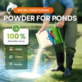 Aquatic Cleaning Powder 100gm | Water Purifier Algae & Moss Remover ...