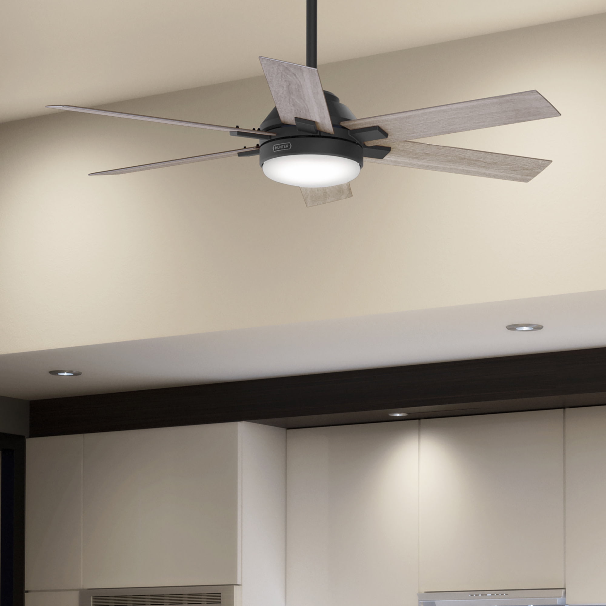 Light Shades For Hunter Ceiling Fans | Shelly Lighting