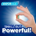 Equate Vapor Ice® Severe Cold and Flu Combo Pack, Day & Night Caplets ...