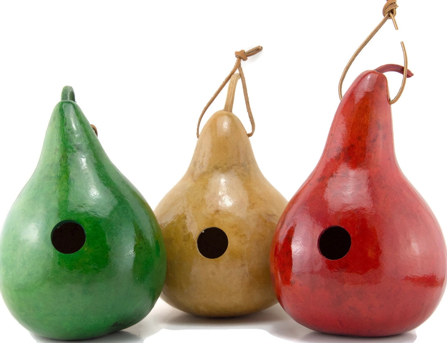 Birdhouse Gourds - Gourd Art - Set of 3 - Green - Natural - Red ...