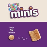 General Mills Cinnamon Toast Crunch Reese's Puffs and Trix Mini ...