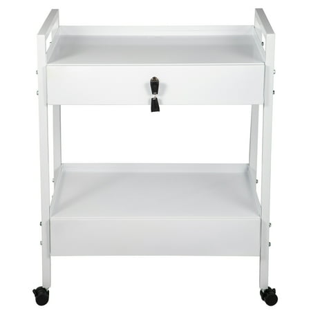 KFFKFF Laboratory Trolley, Dual-Level Stainless Utility Vehicle ...