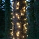LED Tree Trunk Wrap Lights, Tree Wrap Christmas Lights, Easy Christmas ...