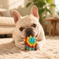 Dog Chew Toy Ball, Colorful Spiky Dental Ball, Durable Bite-Resistant ...