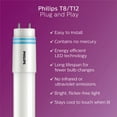 Philips Plug and Play 4Ft (48-inch) Type A T8/T12 Daylight Deluxe 32 ...