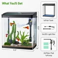 Fish Tank, 3 Gallon Glass Aquarium, 3 in 1 Fish Tank with Filter and ...