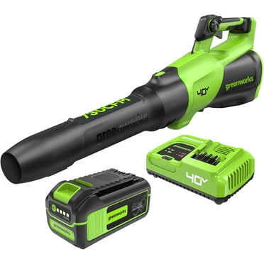 ZoomBroom Small Wireless Electric Air Blower, Lightweight ...