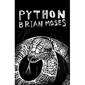 Intelligent Projects Using Python (Paperback) - Walmart.com