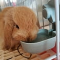 17oz Rabbit Water Bottle, Pet Cage Suspended Dispenser, Hanging ...