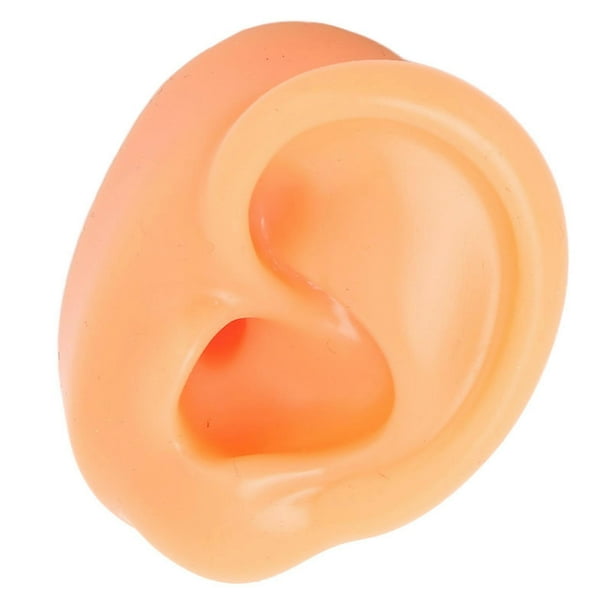 Silicone Ear Model Soft Flexible Right Ear Reusable Human Ear Model for ...
