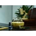 Essential Oil Diffuser Bamboo Glass Waterless Diffuser Aromatherapy NO ...
