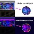 Blacklight Mushroom Black Light Aquarium Background UV Reactive ...