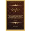 This Is Mars (Hardcover) - Walmart.com