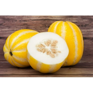 Full Sun Melon Seed Collection - 6 Packs for Summer Planting Garden ...
