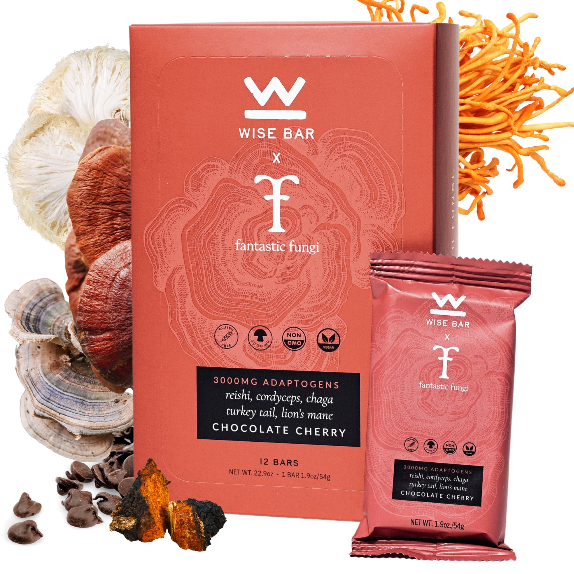 Wise Bar Adaptogen Mushroom Nutrition Bars | Chocolate Cherry Flavor ...
