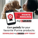 Purina Pro Plan Veterinary Diets Gentle Snackers Hydrolyzed Plus Low ...