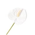 1Pc Artificial Anthurium Stem Artificial Anthurium For Living Room ...