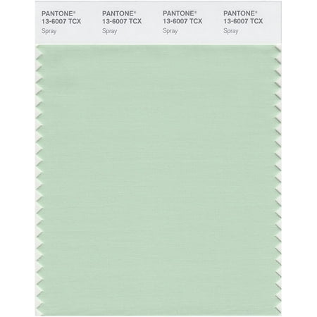 PANTONE SMART 13-6007X Color Swatch Card, Spray - Walmart.ca