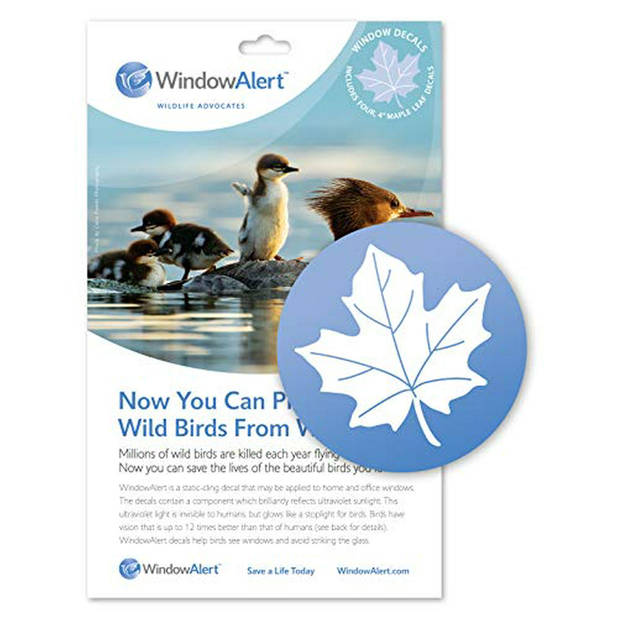 Click here for Windowalert Maple Leaf Decals Multicolour prices