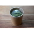 [25 Pack] 16 oz Disposable Kraft Paper Soup Containers with Plastic ...