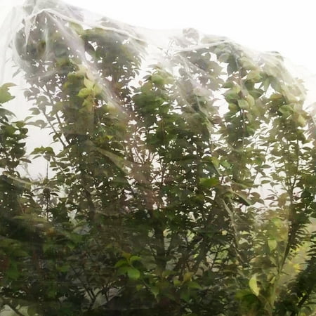 Flxible To Use Net, Plant Protective Net Park For Garden Fruits ...