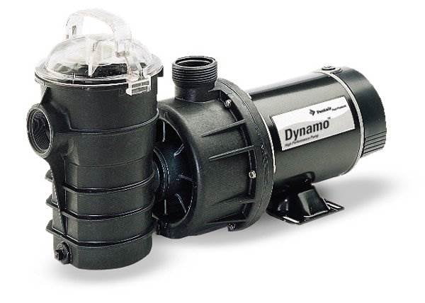 PENTAIR 340210 Dynamo Above Ground Swimming Pool Pump 1.5 Hp w/3' Cord ...