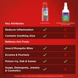 Cortizone 10 Itch Relief Cooling Spray Hydrocortisone 1% Aloe 2.7 oz ...